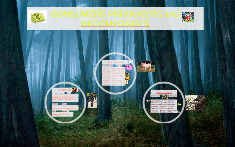 CONSUMERS PRODUCERS and DECOMPOSERS by londyn harris on Prezi
