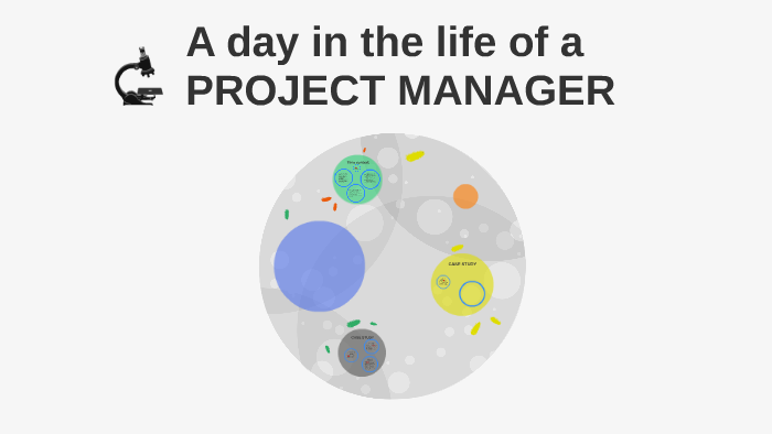 A day in the life of a PROJECT MANAGER by Jamin Bernal on Prezi
