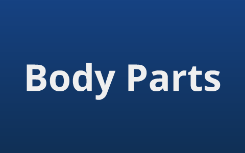 Body Parts by Ian Brotherton on Prezi