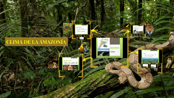 CLIMA DE LA AMAZONÍA by luis toapanta on Prezi