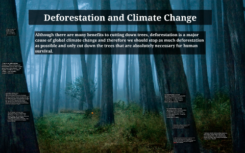 Deforestation and Climate Change by Anne Taylor on Prezi