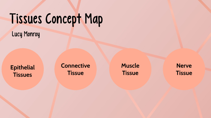 Tissues Concept Map by Luciana Monroy on Prezi