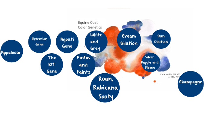 Equine Coat Color Genetics by Ashley Morris on Prezi