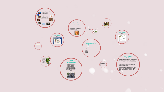 Classification of Organisms by Gabrielle Roberto on Prezi