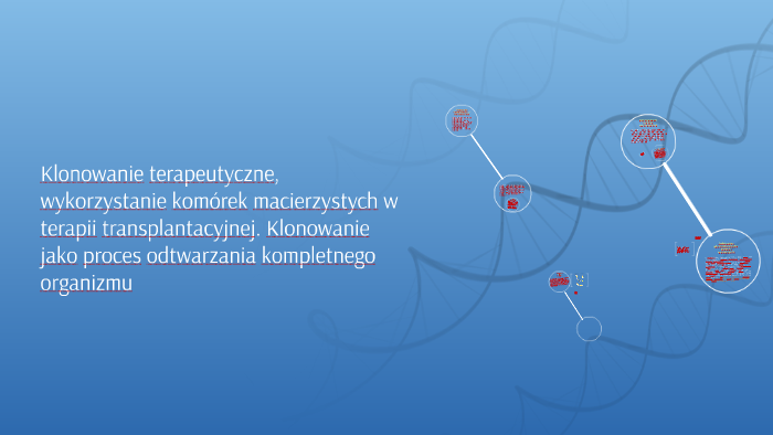 Klonowanie terapeutyczne, wykorzystanie komórek macierzystyc by Kamila ... Klonowanie terapeutyczne, wykorzystanie komórek macierzystyc by Kamila ...