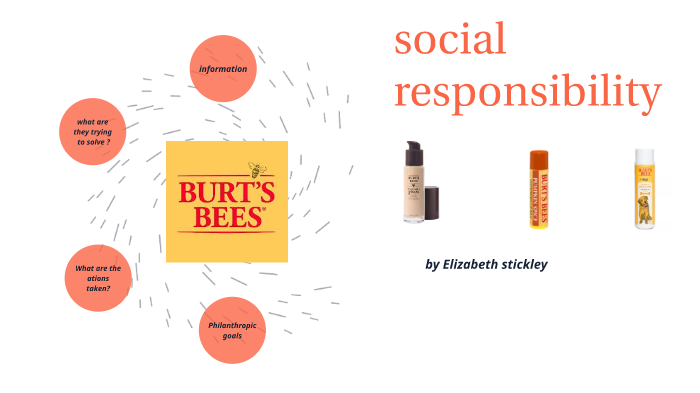 social responsibility by elizabeth stickley on Prezi