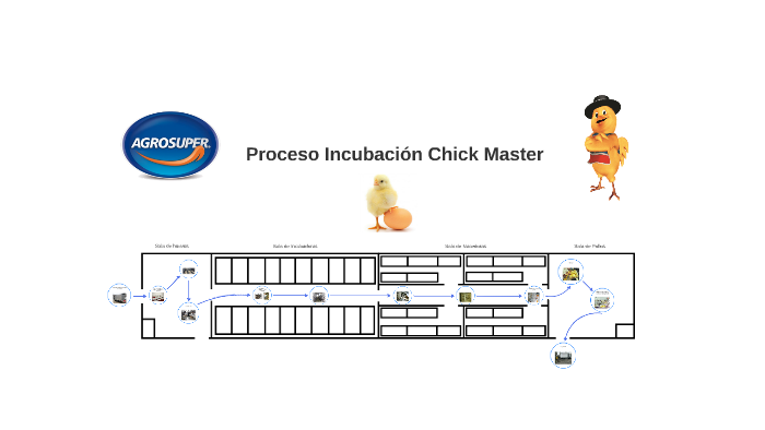 Proceso Incubación Chick Master by Alexis Balboa on Prezi