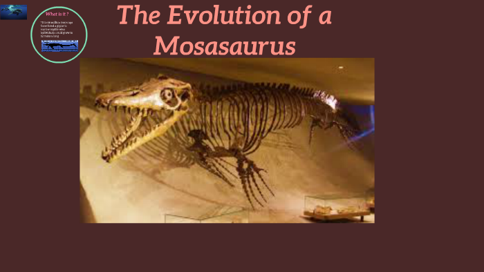 The Evolution of a Mosasaurus by justice brown on Prezi