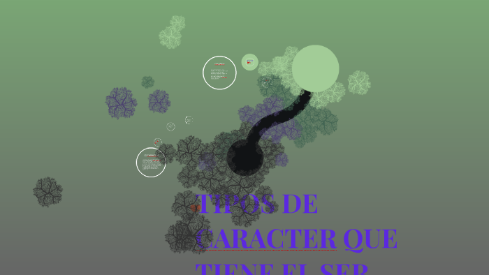 TIPOS DE CARACTER QUE TIENE EL SER HUMANO by mayherlis perez