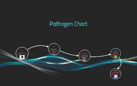 Pathogen Chart by Ross Nesbit on Prezi