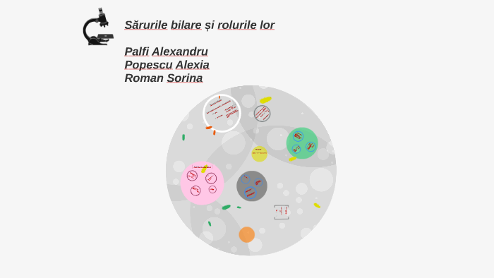 Sărurile bilare și rolurile lor by Sorina Roman on Prezi