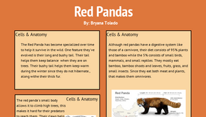 Biology Final- Red Pandas by Bryana Toledo on Prezi Design