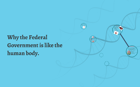 Why the Federal Government is like the human body. by logan moon on Prezi
