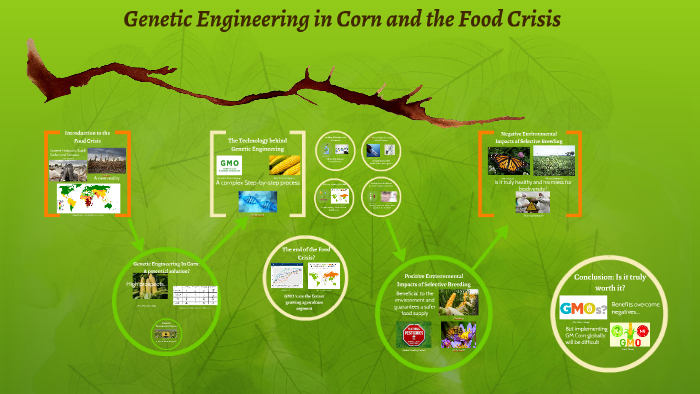 Selective Breeding, The Environment, and the Food Crisis by Paul ...