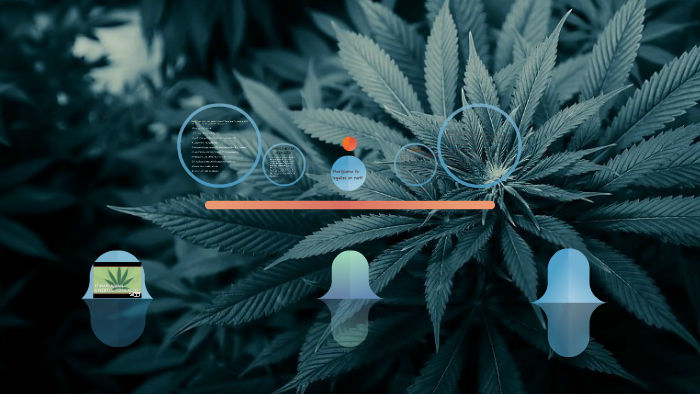 Marijuana to legalize or not? by Princes Polina on Prezi