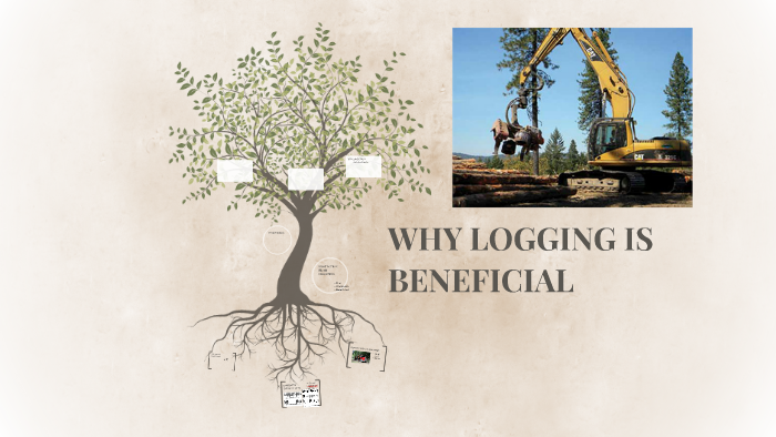 WHY LOGGING IS GOOD by Isaac Christensen on Prezi