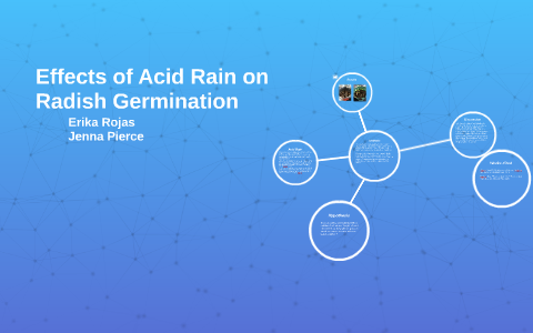 Effects of Acid Rain on Radish Germination by Jenna Pierce on Prezi