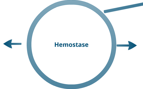 hemostase by anne roerink on Prezi