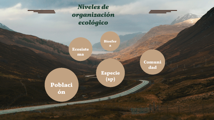 Niveles de organización ecológicos by Noelia López on Prezi