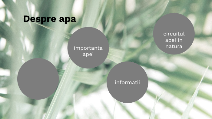 proiect despre apa by Mattew F on Prezi