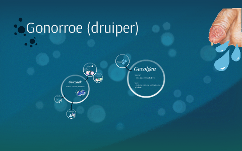 Gonorroe (druiper) by Isabeau Coussement on Prezi