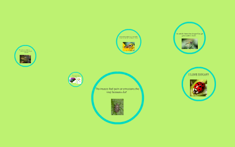Do insects feel pain or emotions the by Thomas Maximus on Prezi