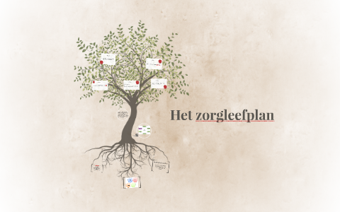 Het zorgleefplan by Silvia van Laarhoven on Prezi