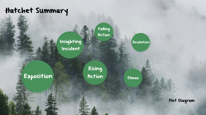hatchet plot diagram by emily smith on Prezi