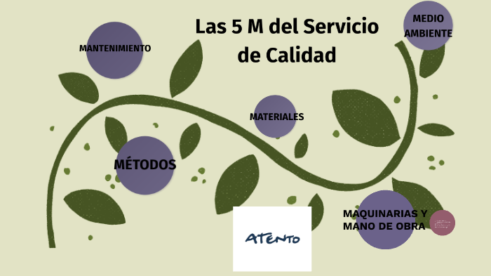 LAS 5 M DEL SERVICIO DE LA CALIDAD by ISABEL CUZCANO on Prezi