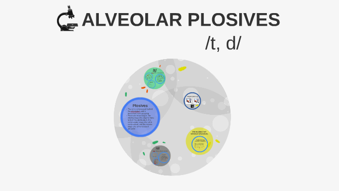 ALVEOLAR PLOSIVES by Carolina Prat on Prezi