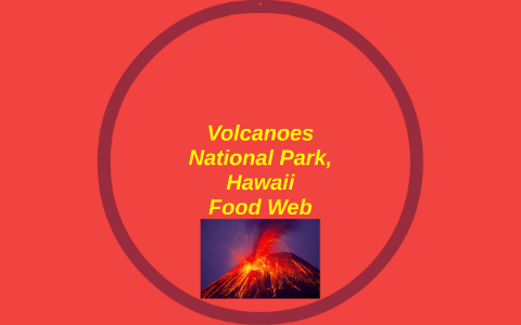 Volcanoes National Park, Hawaii Food Web by Chloe West on Prezi