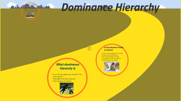 Animal behavior:Dominance Hierarchy by Cris yo mama on Prezi