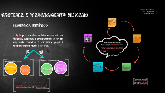 Neotenia e Inacabamento Humano by Rita Gonçalves on Prezi