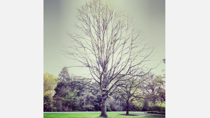 Delaware Manufacturing Industries Corporation by Eric Stanczyk on Prezi