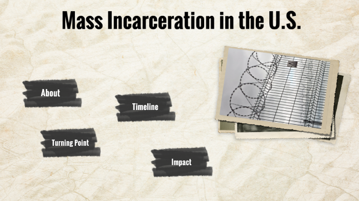 The State of Mass Incarceration in the United States by Victoria Nwoke ...