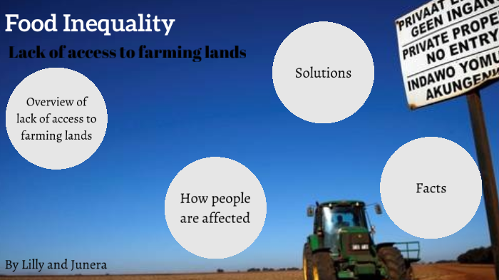 Causes of Food Inequality- Lack of Access to Farming Lands by Lilly ...