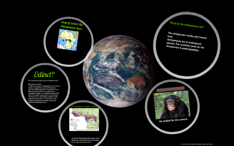 map of where the chimpanzee lives . by Space MonkeyXO on Prezi