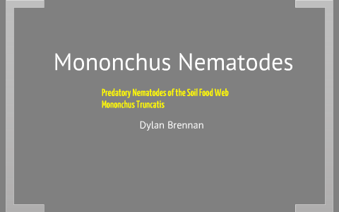 Mononchus Nematodes by Dylan Brennan on Prezi