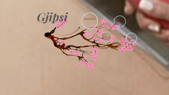 Gjipsi by Kushtrim Haxha on Prezi