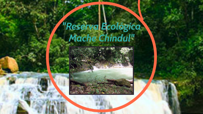 "Reserva Ecológica Mache Chindul" by Jennifer López on Prezi