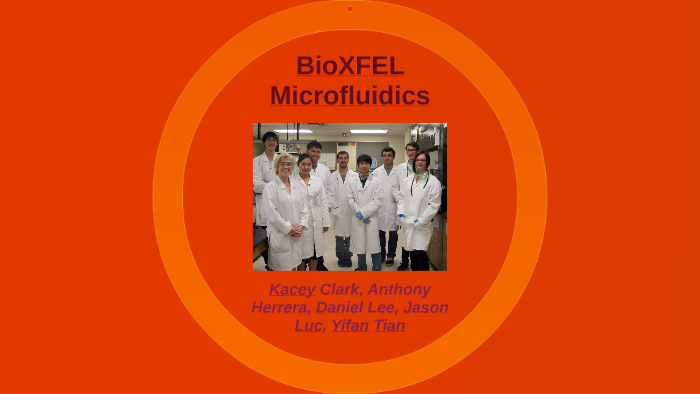 BioXFEL Microfluidics by Kacey Clark on Prezi