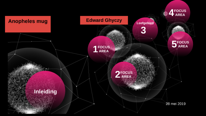 anopheles mug by bruno ghyczy on Prezi