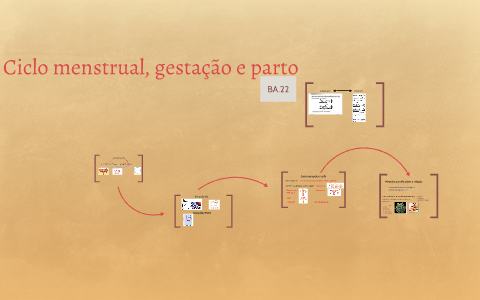 Ciclo menstrual, gestação e parto by Izabella Tambones
