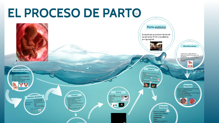 EL PROCESO DE PARTO by Júlia Gonzalo Ortega on Prezi