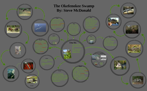 THE Okefenokee Swamp by Steve McDonald on Prezi