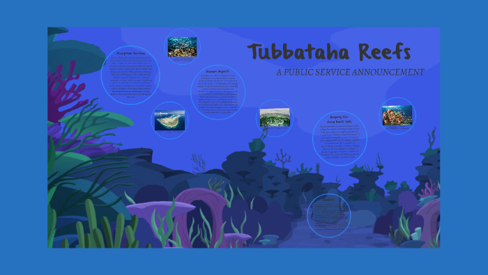 The Tubbataha by Arushee Kamra on Prezi
