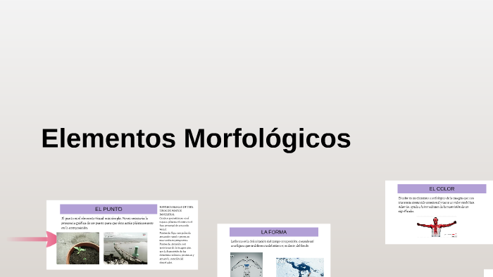 Elementos Morfológicos by david orellana on Prezi