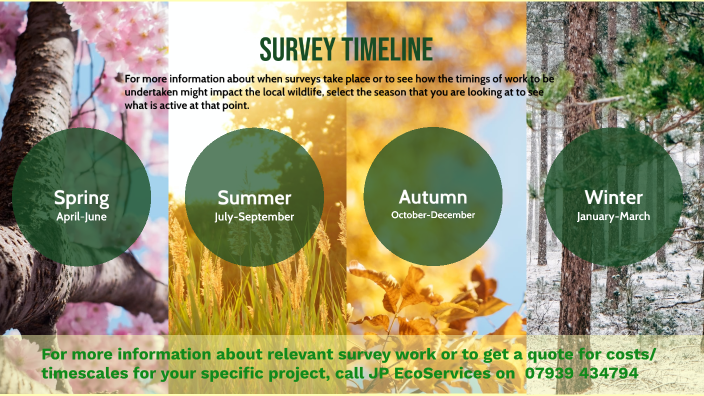 survey timeline by Helen Hopkins on Prezi