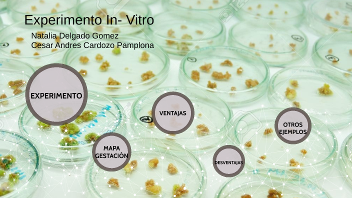 EXPERIMENTO IN VITRO by Nata Delgado on Prezi
