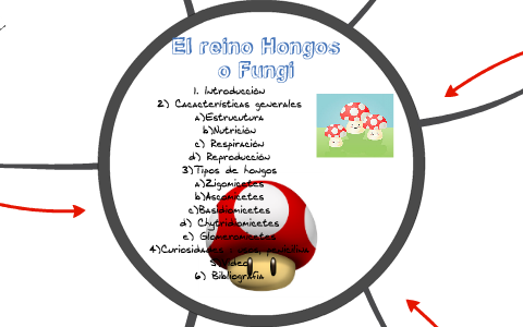 El reino Hongos o Fungi by Isabel Rubio Domínguez on Prezi